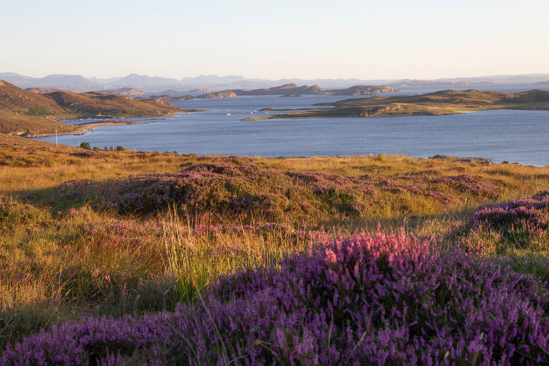 A Guide to Scotch Whisky Regions - Lowlands - Whisky 1901