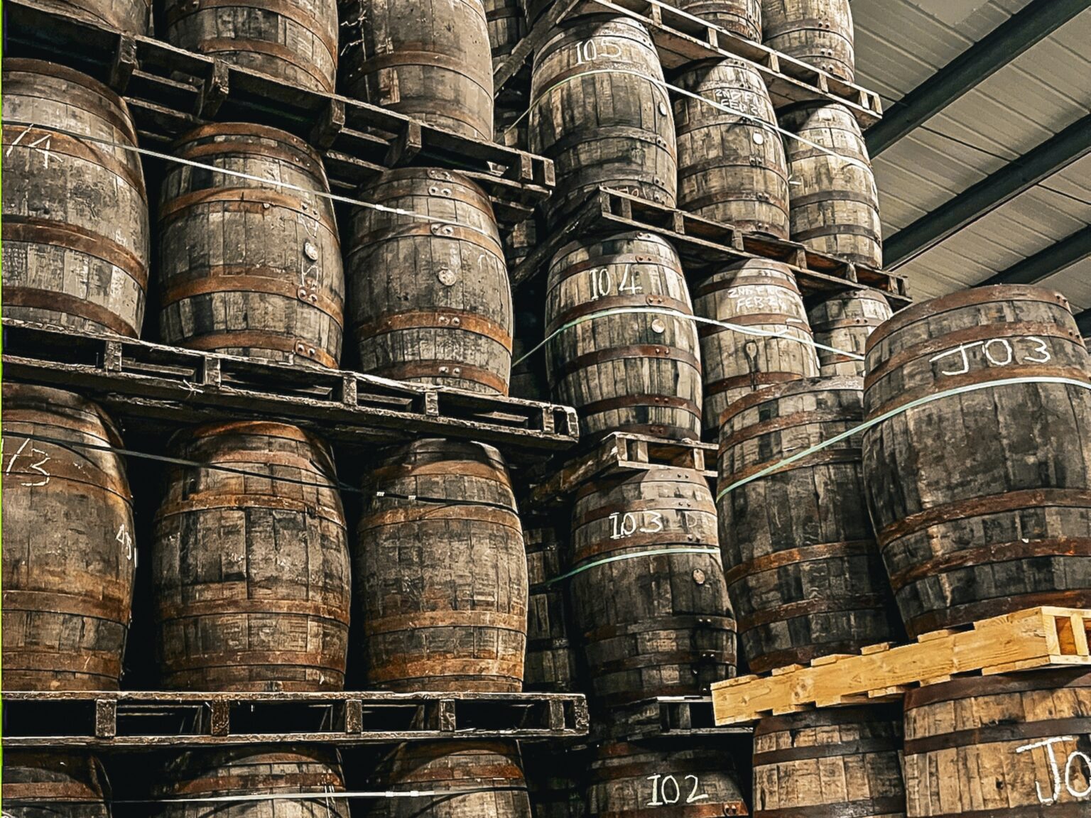 Whisky Cask Investment Company - Whisky 1901